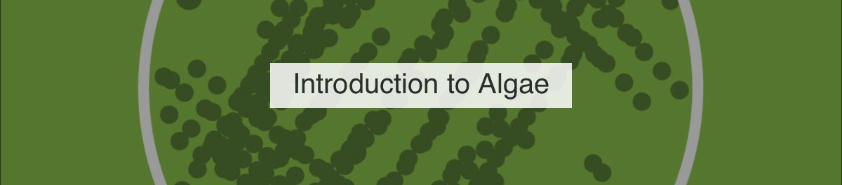 Reddit Comments On Introduction To Algae Coursera Course Reddsera
