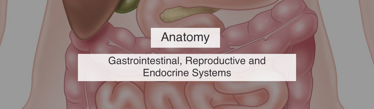Reddit comments on "Anatomy" Coursera course | Reddsera
