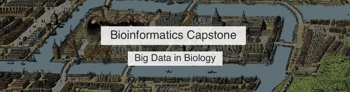 Reddit comments on "Bioinformatics Capstone" Coursera course | Reddsera