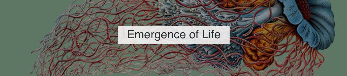 Reddit comments on "Emergence of Life" Coursera course | Reddsera