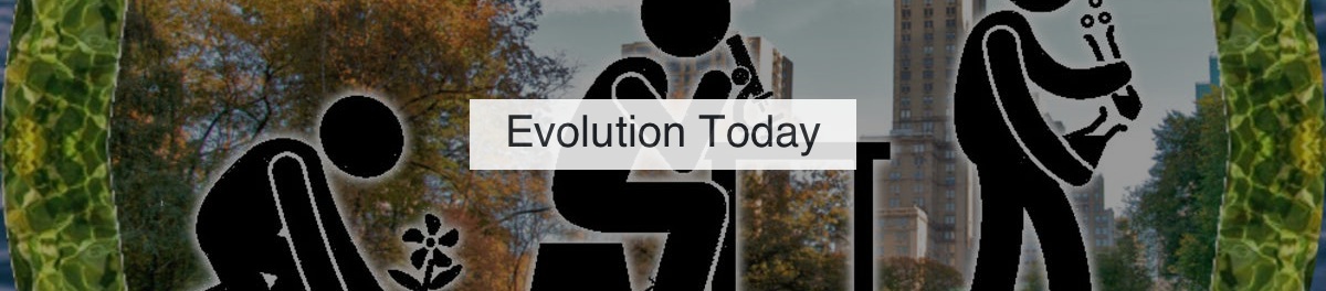 Reddit comments on "Evolution Today " Coursera course | Reddsera