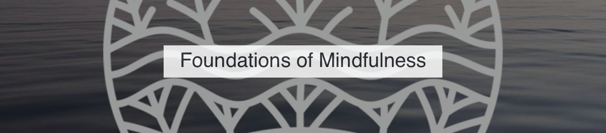 Reddit Comments On Foundations Of Mindfulness Coursera Course Reddsera