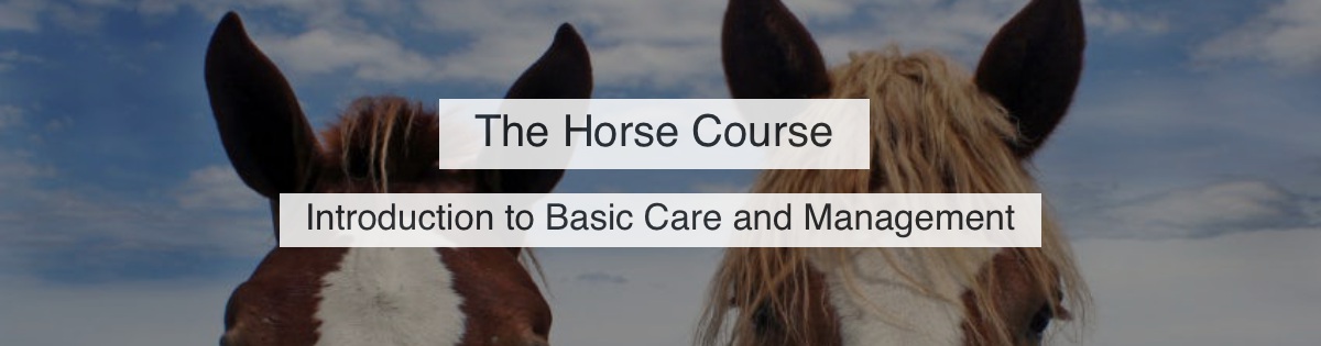 Reddit comments on "The Horse Course" Coursera course | Reddsera