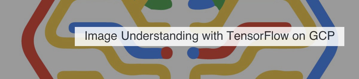 Reddit comments on "Image Understanding with TensorFlow on GCP" Coursera course | Reddsera
